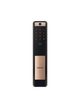 ZIGBANG SHP P72 WiFi IoT Smart Door Lock (Gold)